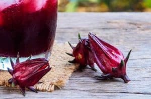 Edible Hibiscus Flower: Hibiscus Sabdariffa With Amazing Uses